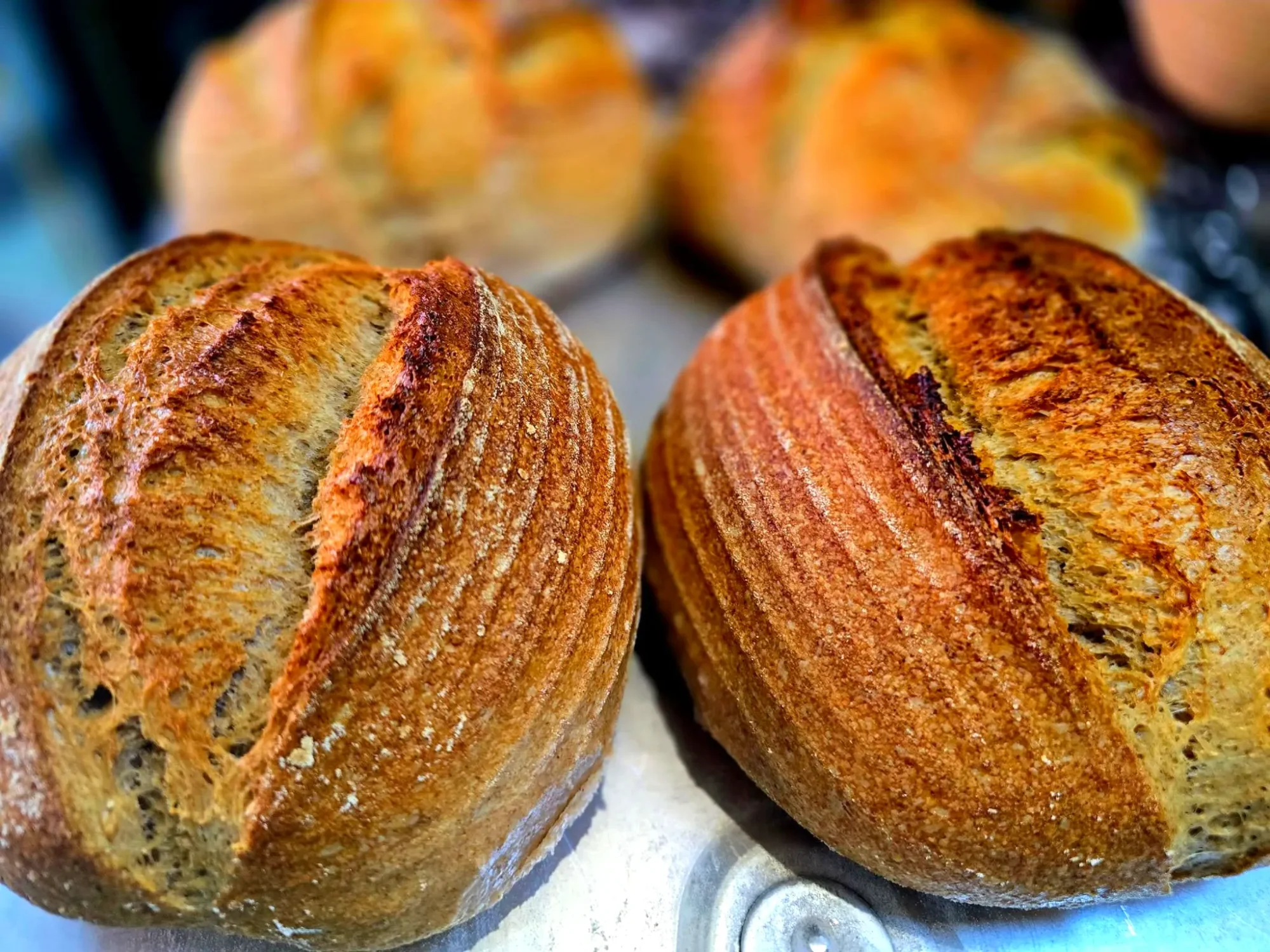 Bake & Coffee Bakery, Пекарна | Профил в LocalStore.bg